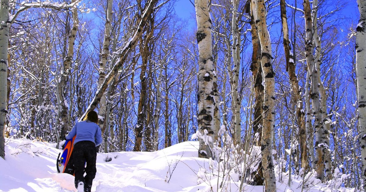 Jessica Kort | about.me