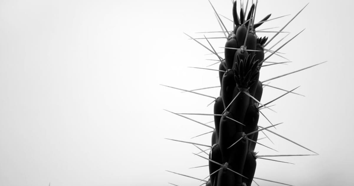 Joseph Freeman | about.me