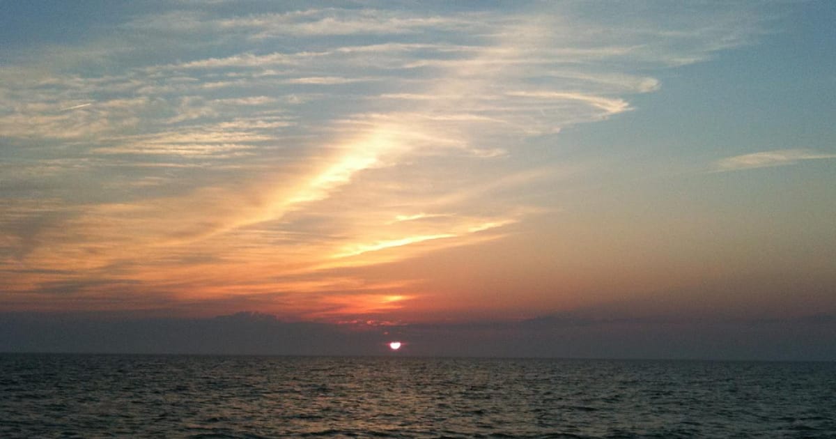 Jo Paoletti | about.me