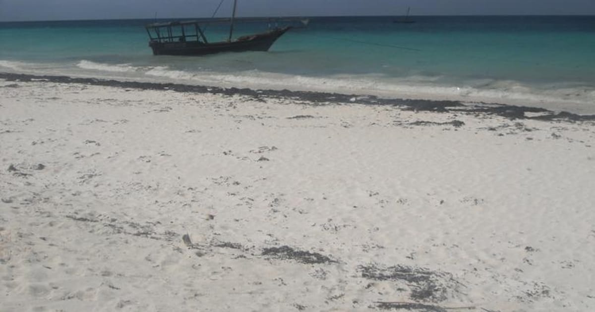 Kate Cunningham | about.me