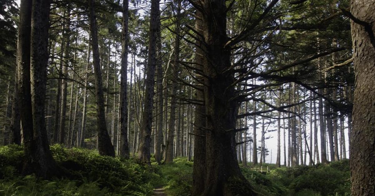 Kay Martin | about.me