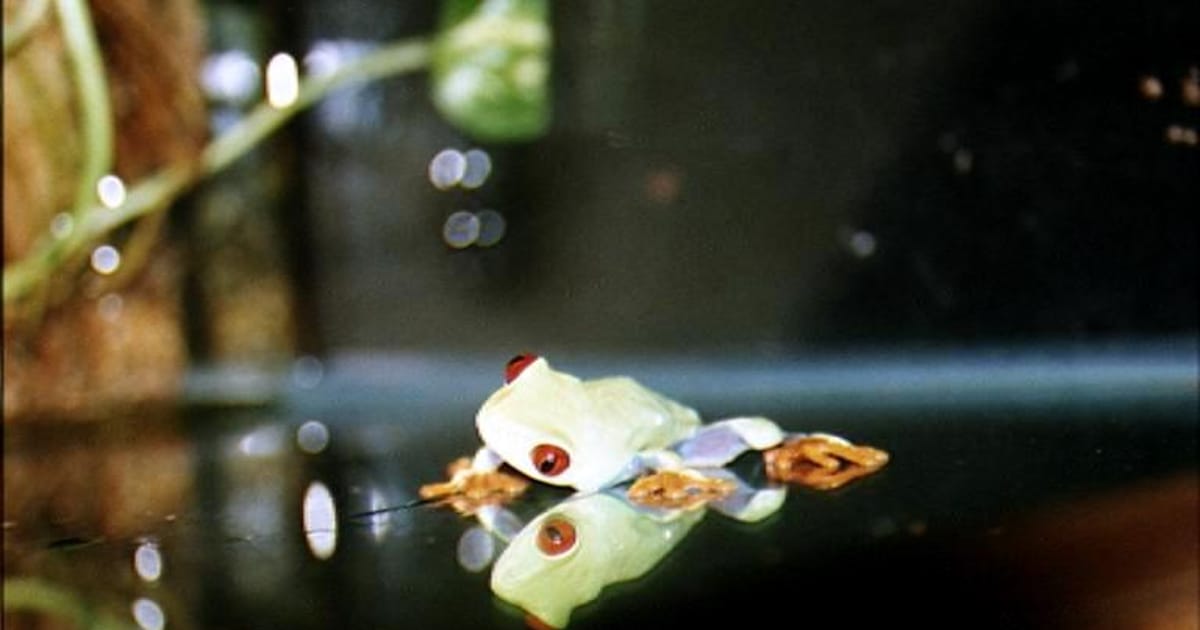 Keith Webb | about.me