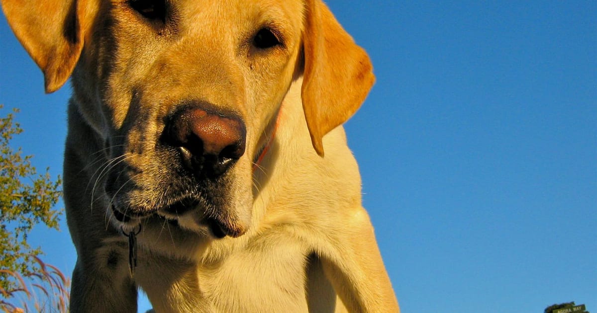 Ken Pepple | about.me