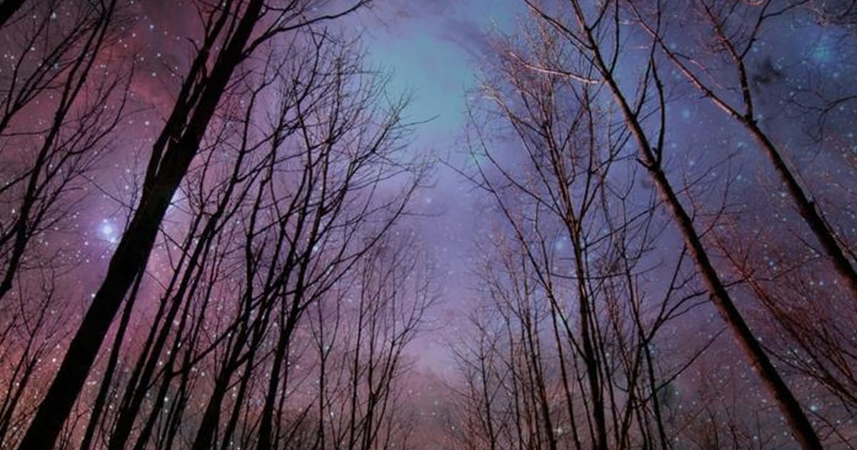 Kevin Leavy - Chicago, Freelance, BFA from The Illinois Institute of ...