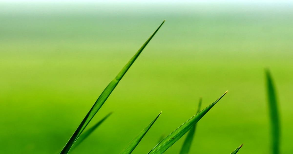 Laboratorios ALES | about.me