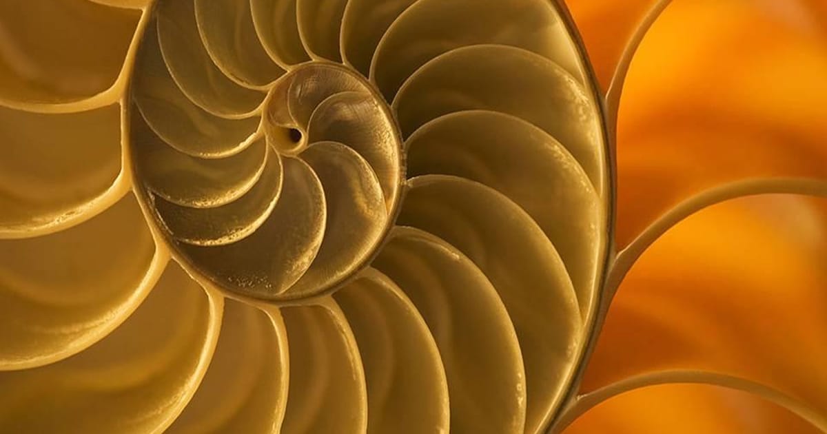 Laura Powers | about.me