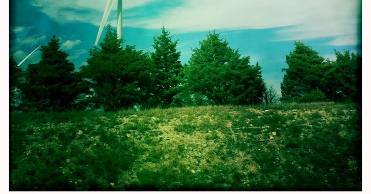 lisa silvera - Santa Monica, California, Lisa Silvera & Associates, LLC ...