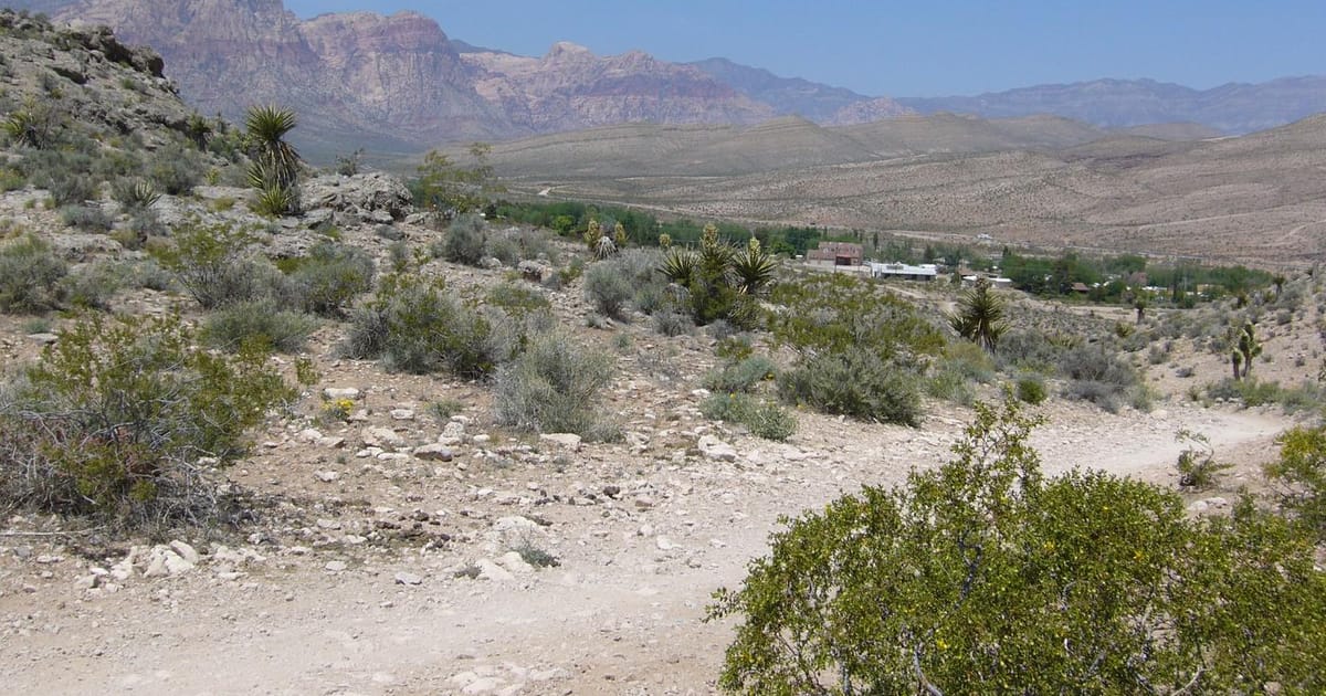 Lucas Powell | about.me