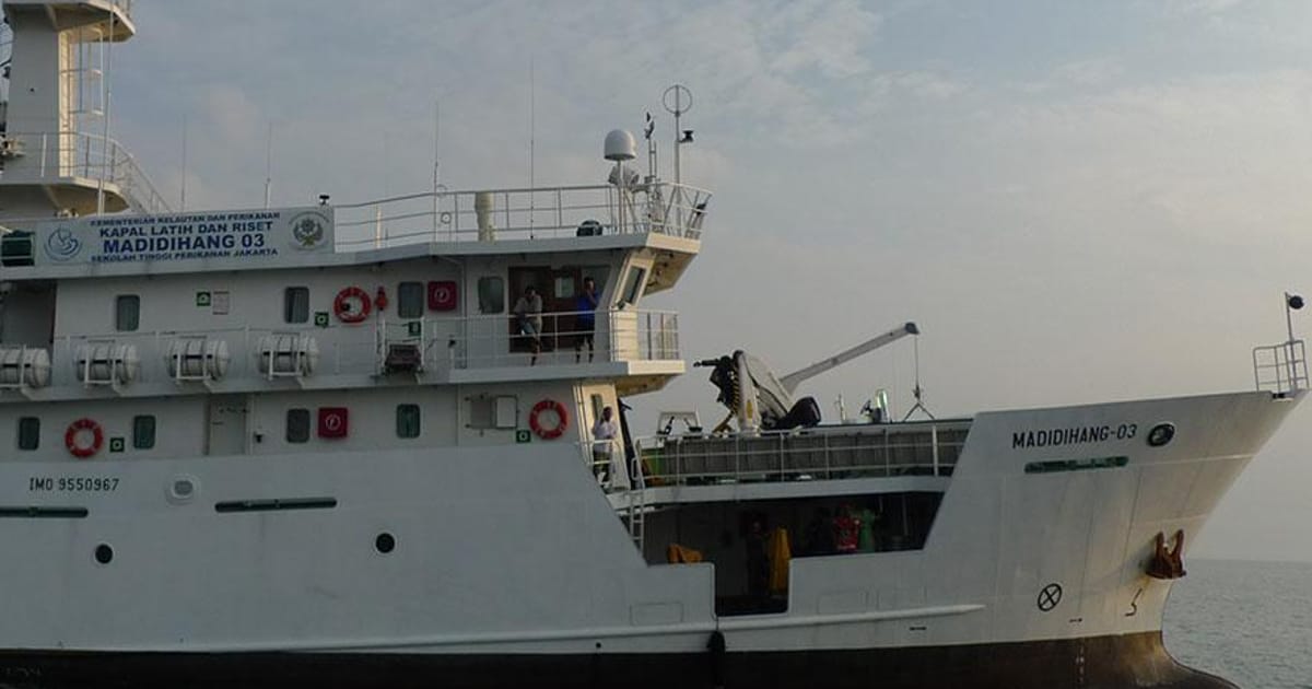 Madidihang 03 | about.me