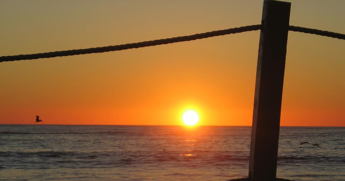 Mark Coghlan | about.me