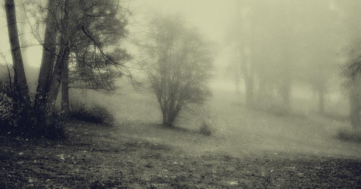 Mark Swanson - Seattle, Product photography at Greedtone Amps, Small ...