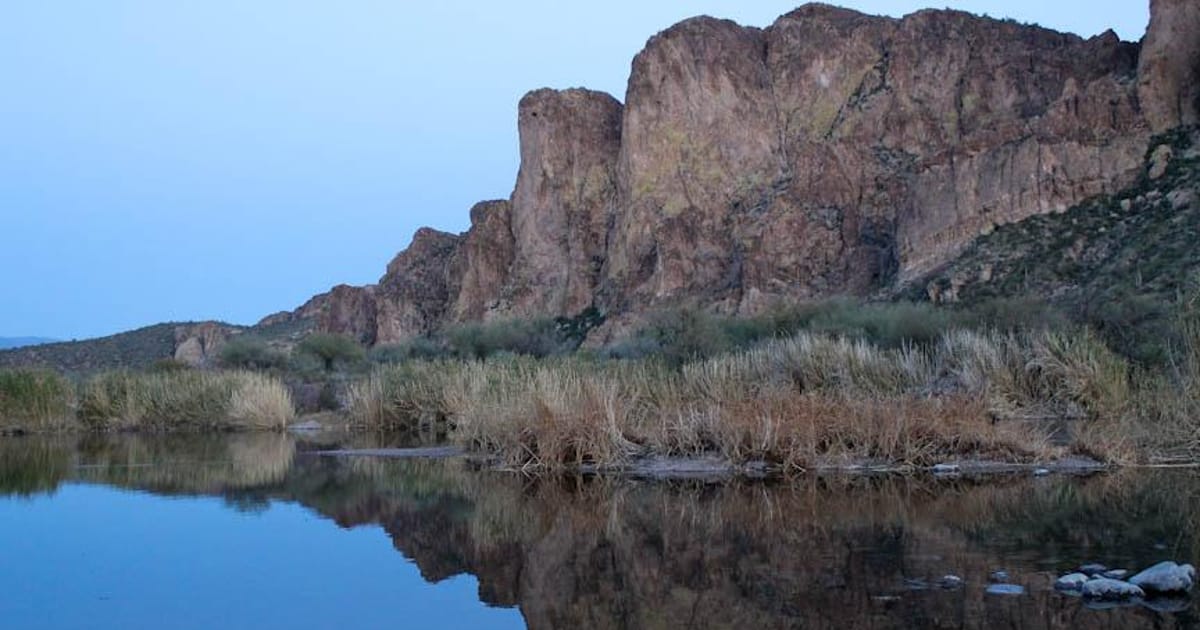 Mary Shinn | about.me