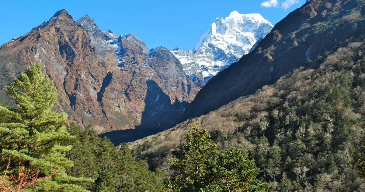 Meera Jane | about.me