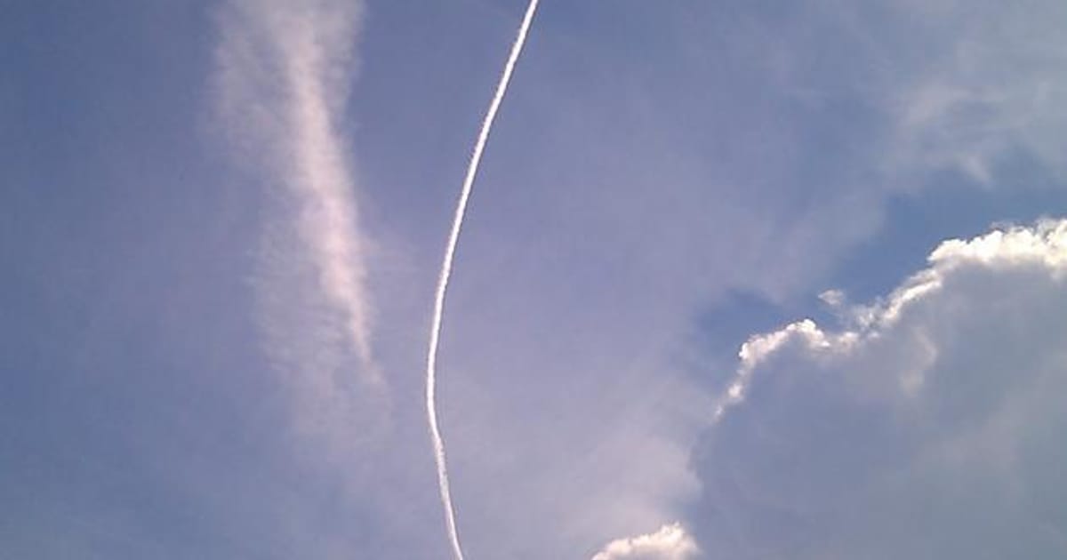 Michael Halas | about.me