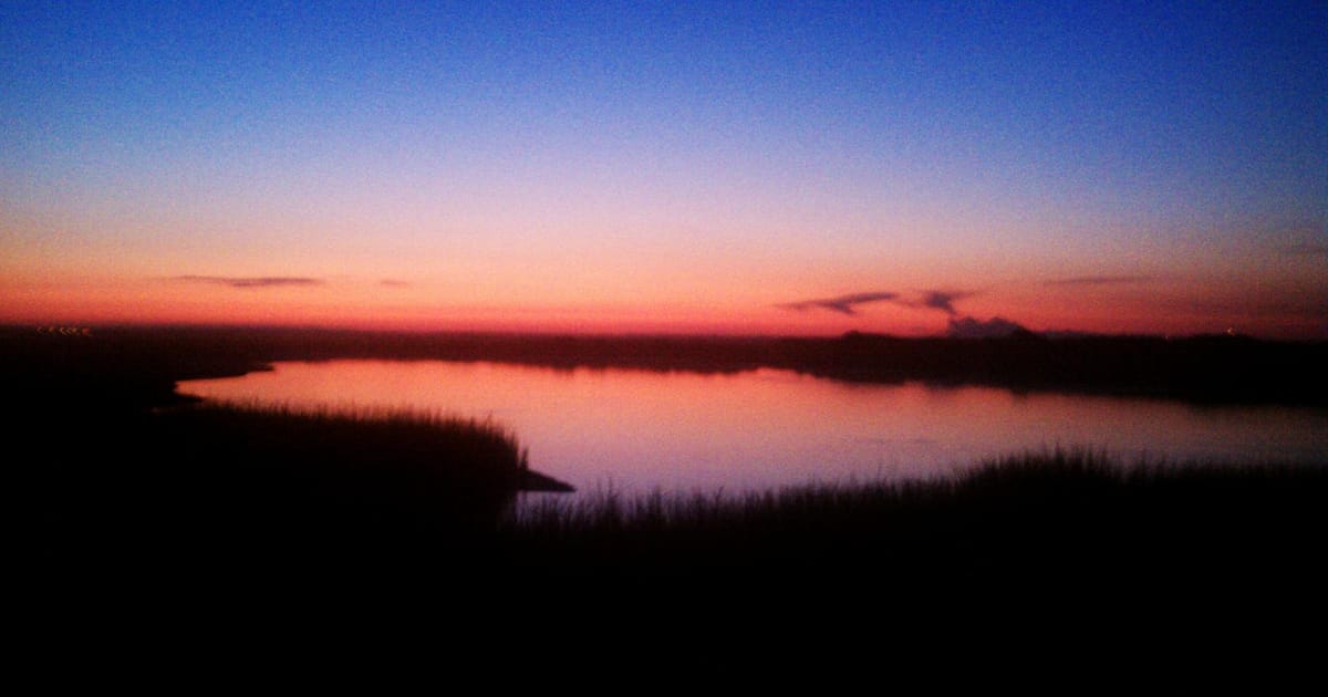 Michael Eling - New York City, Information Velocity Partners, LLC, NYU ...