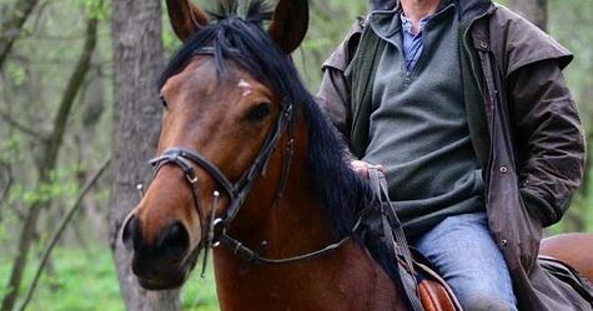 Mike Loades | about.me