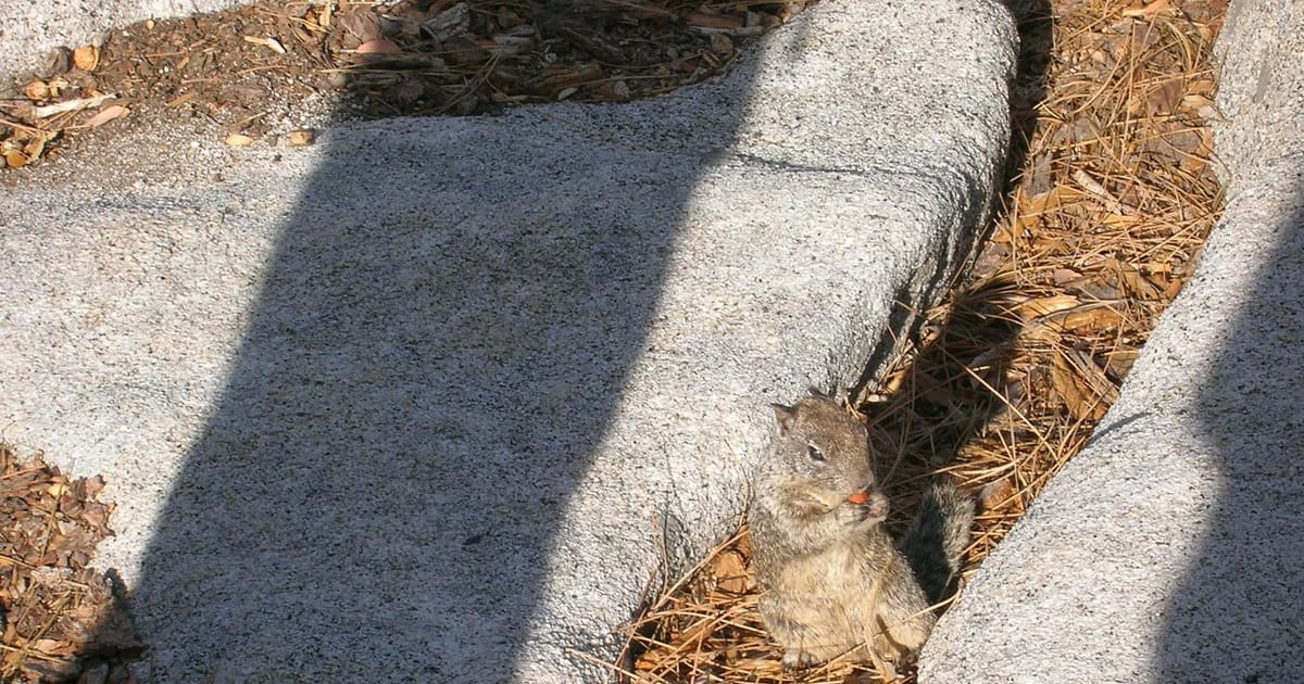 Jeremy Muratore | about.me