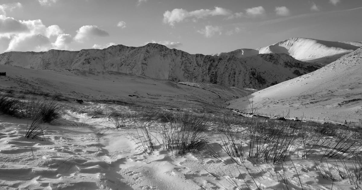 Neil Cowburn | about.me