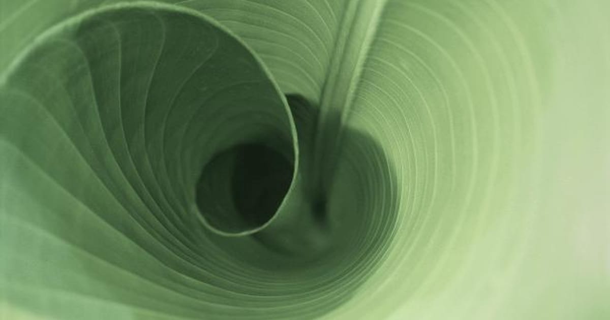 Neil Main | about.me