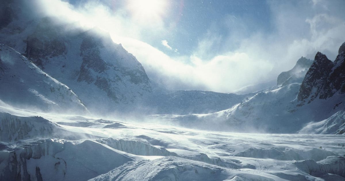 Neux Roster | about.me