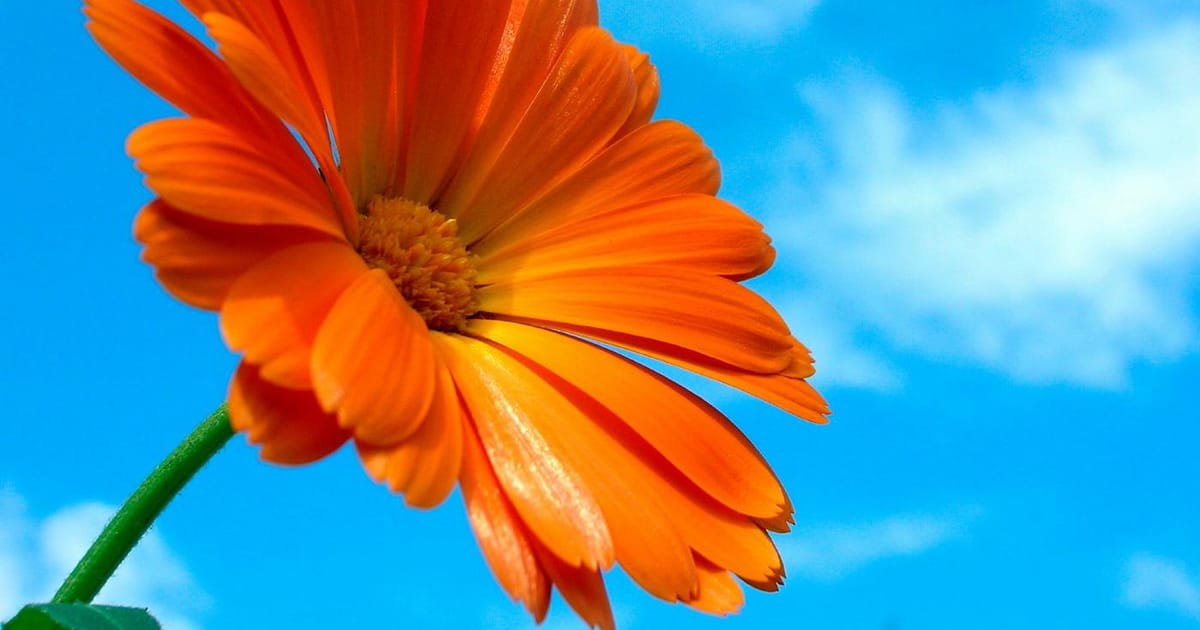 Neven Cvetkovic | about.me