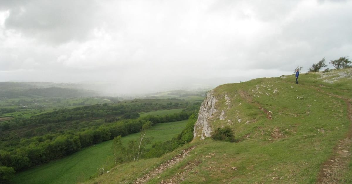 Nicholas Novak | about.me