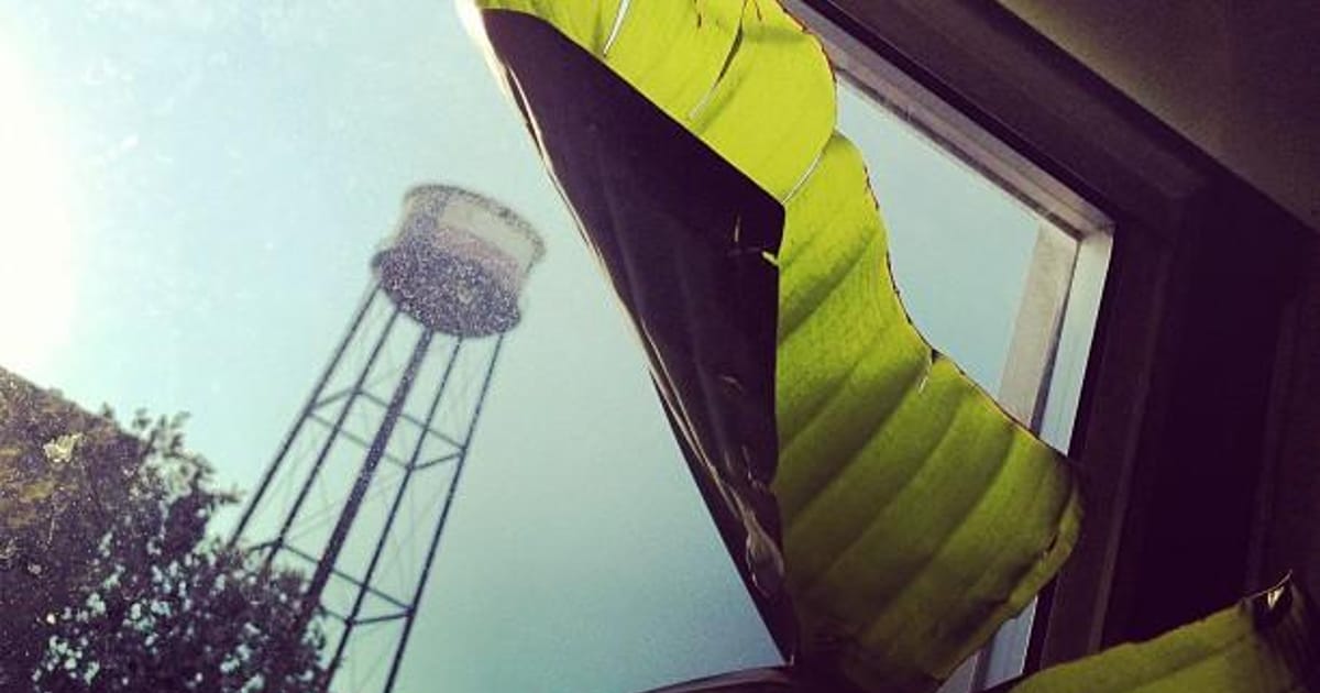 Patrick Gilmour | about.me