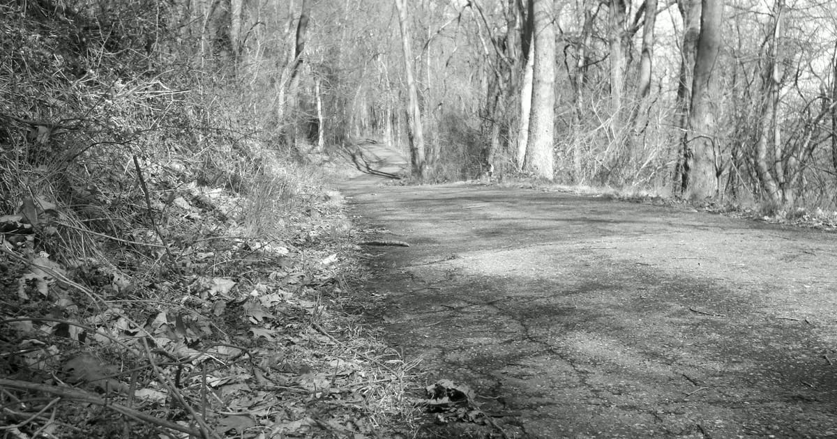 paul chepolis | about.me