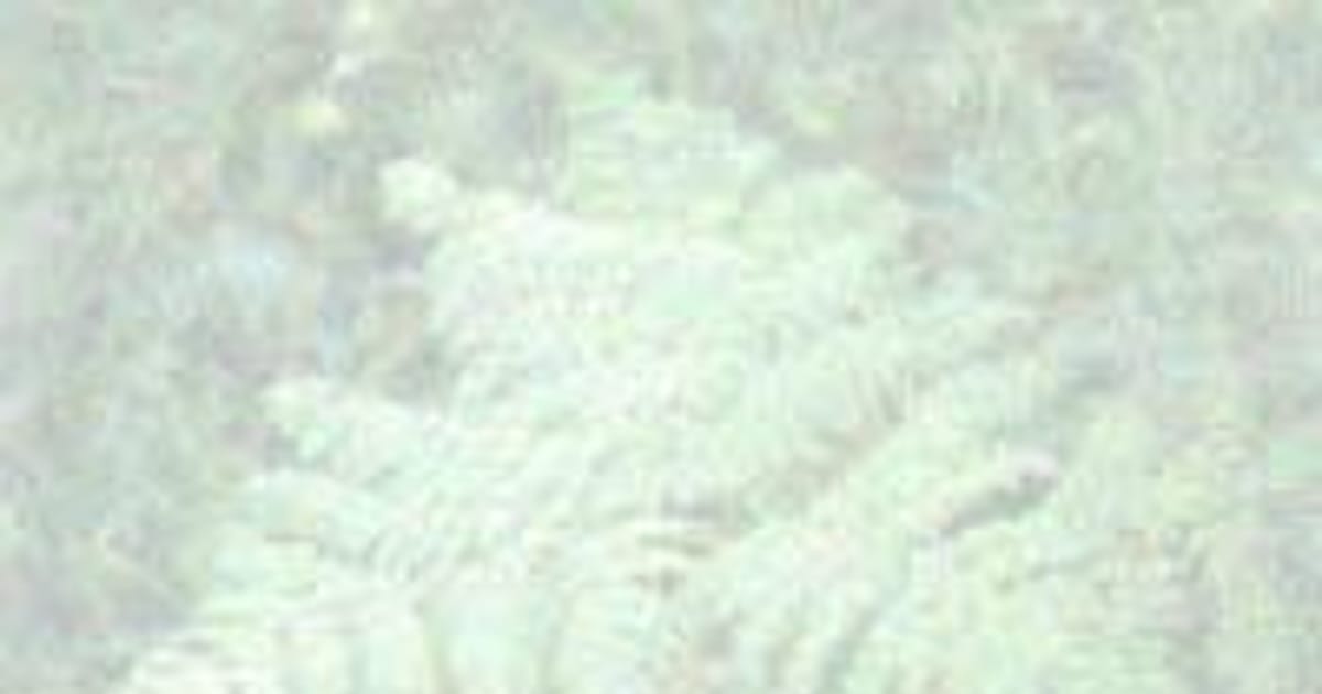 Penny Boyer | about.me