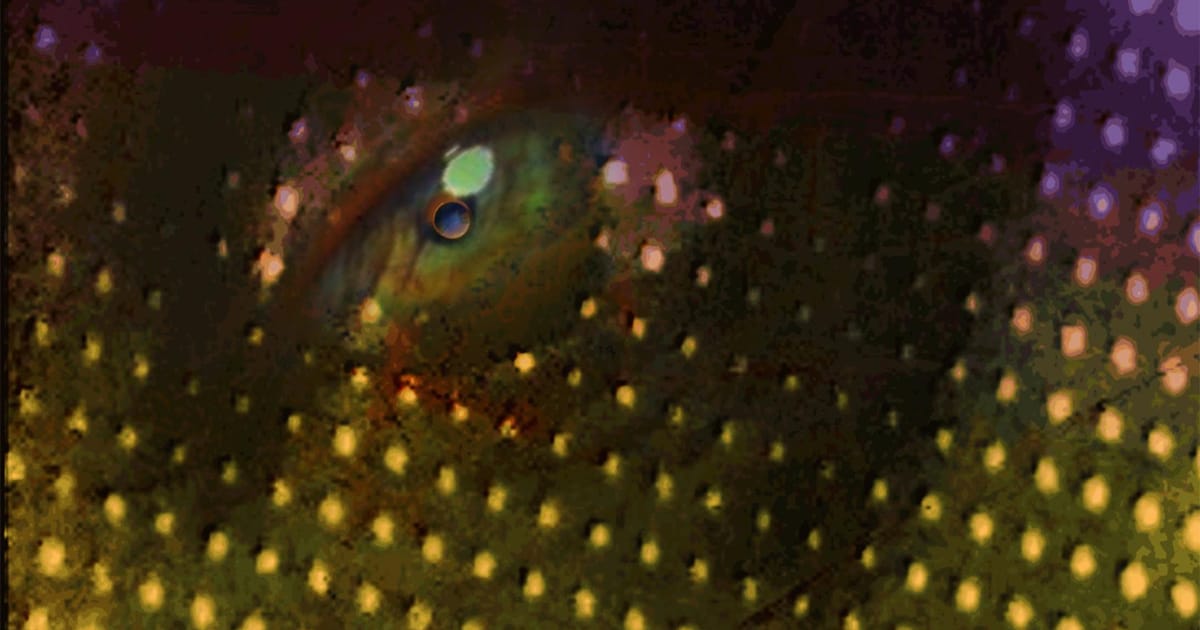 Pier Marton | about.me