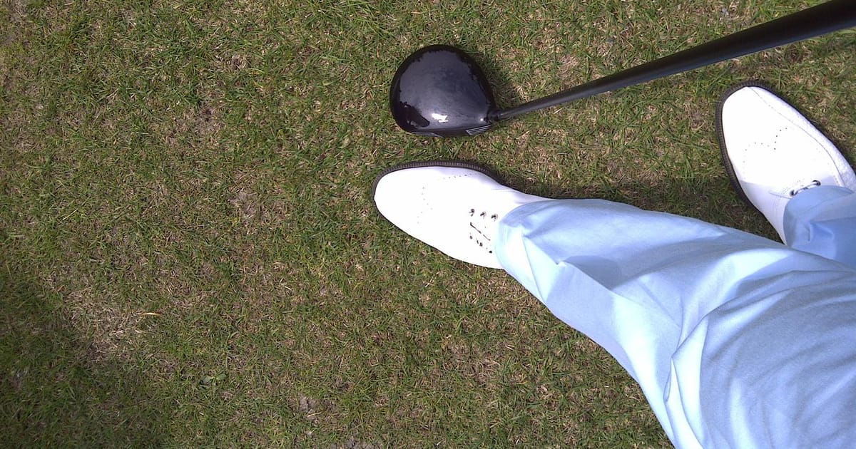 Paul Morrell | about.me