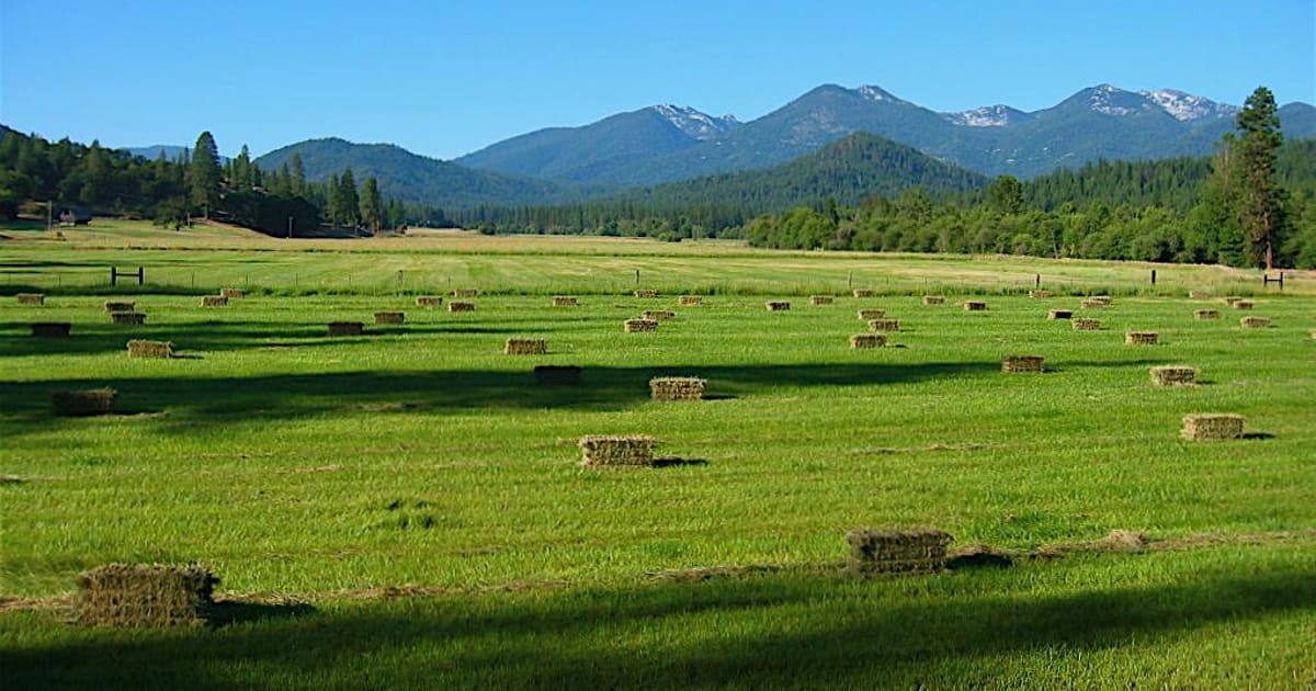 Richard Leiter | about.me