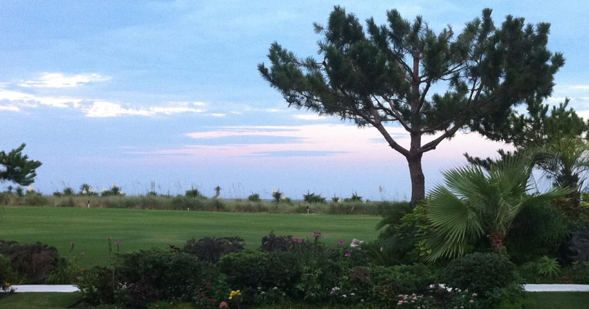 Ruth Dobson-Torres | about.me