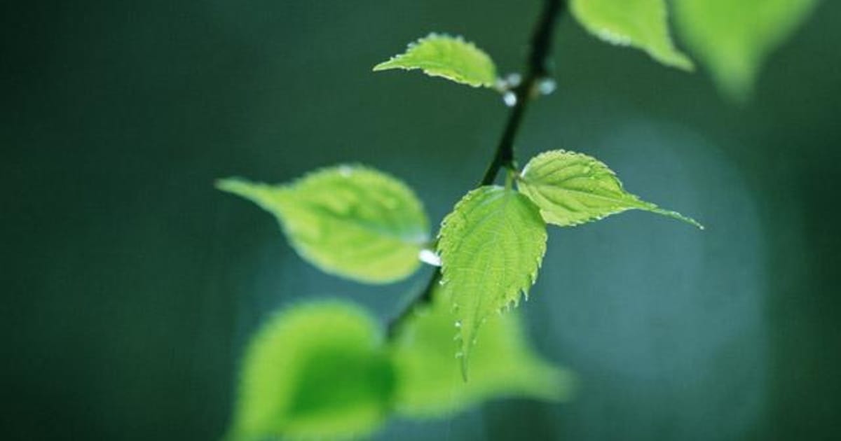 Sandy Chong - Perth Australia | about.me