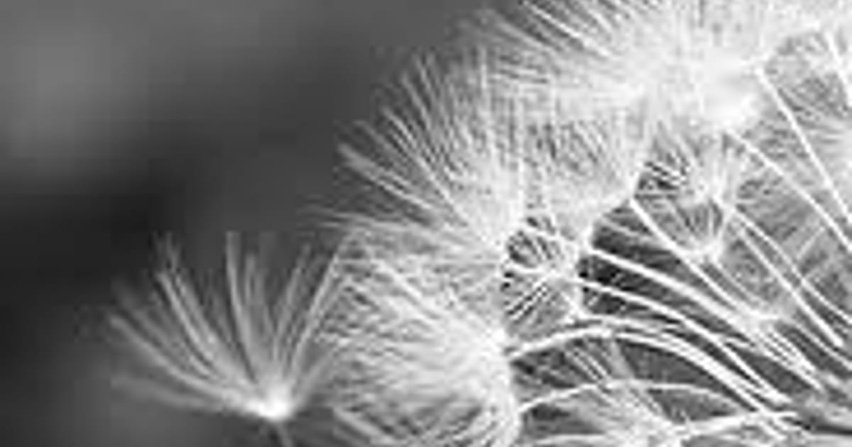 Sara Comer | about.me