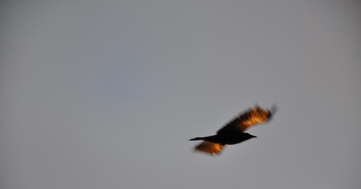 Simon Bisson | about.me