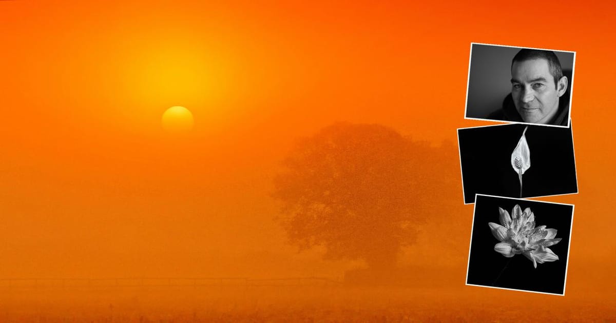 Sean Tiernan | about.me