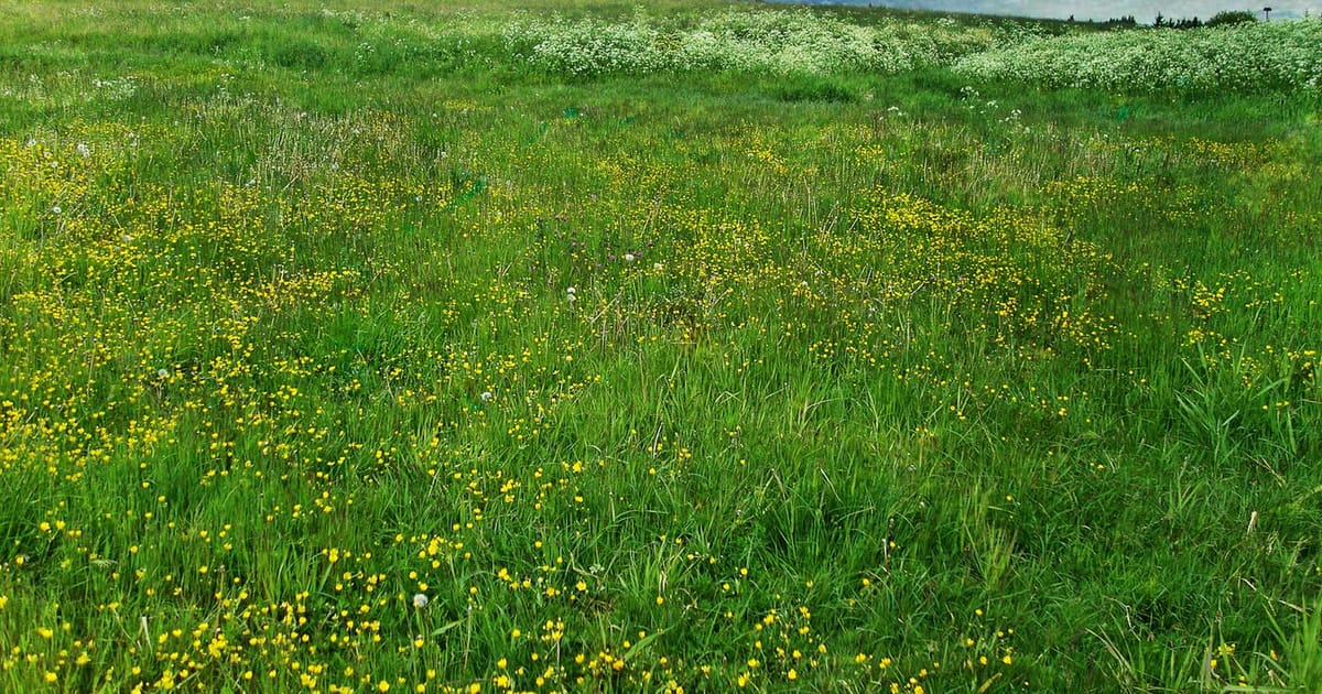 Sharon Gefen | about.me