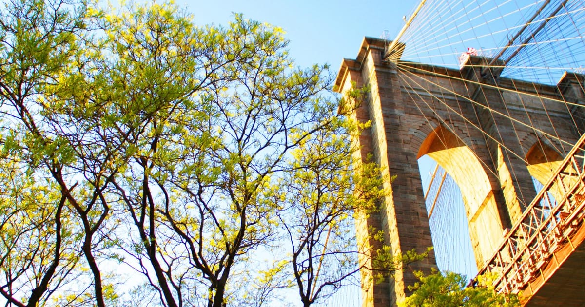 Simon Dempsey | about.me