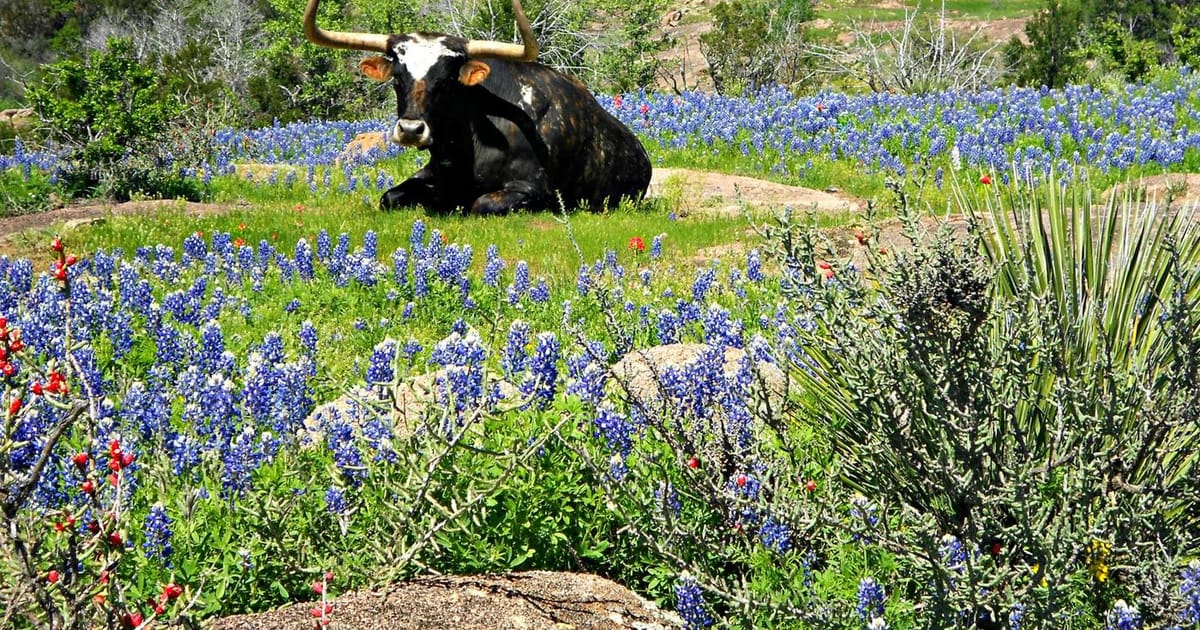 Russell Smith - San Francisco, California, United States, Trulia ...