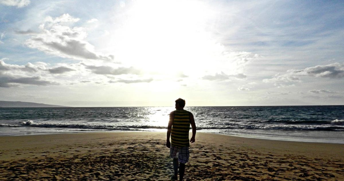 David Stepania | about.me