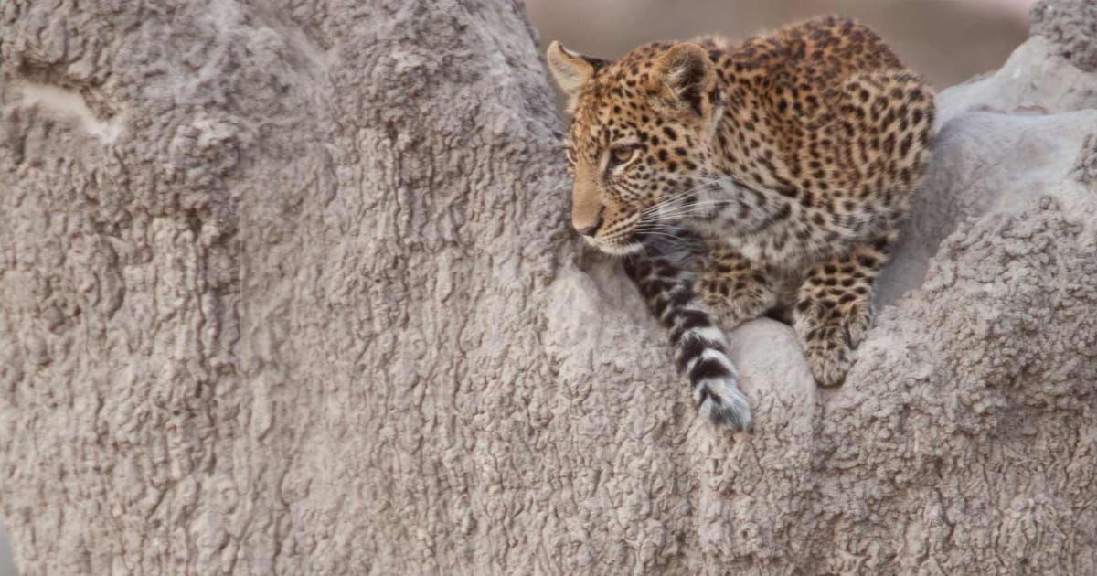 Steve Filipiak | about.me