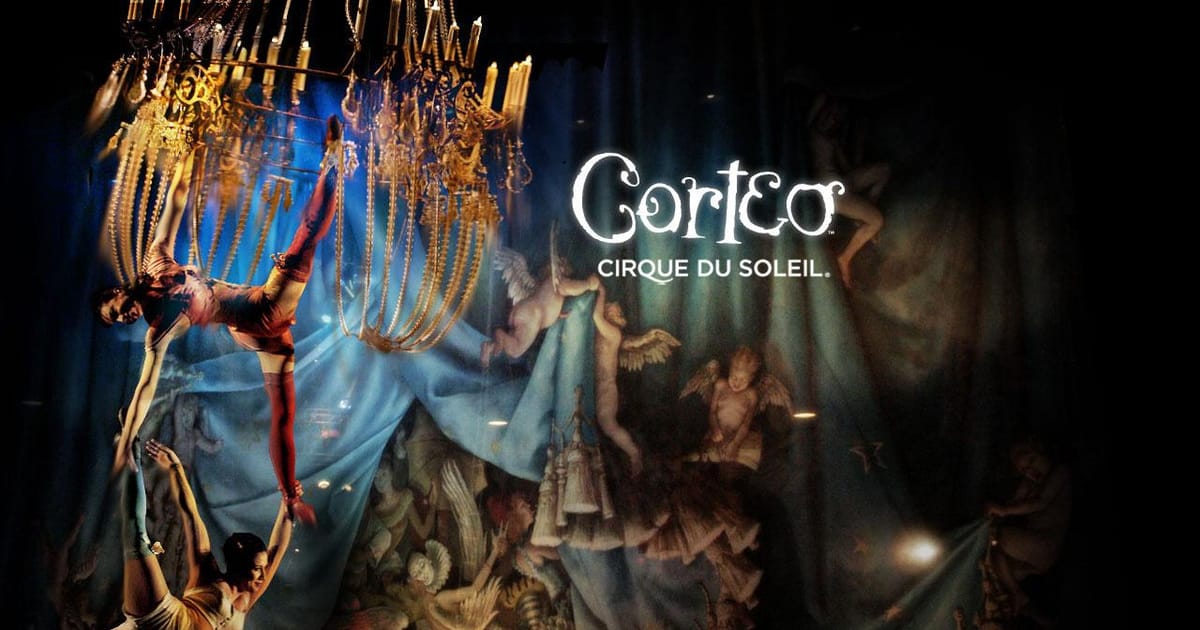 Taylor Conley | about.me