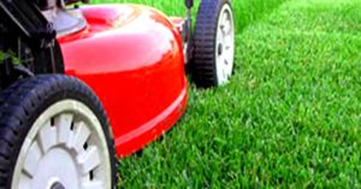 Toby Goddard | about.me