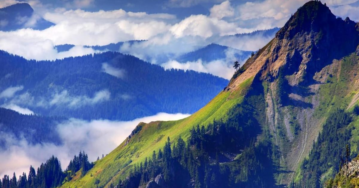 Tyler Grady | about.me