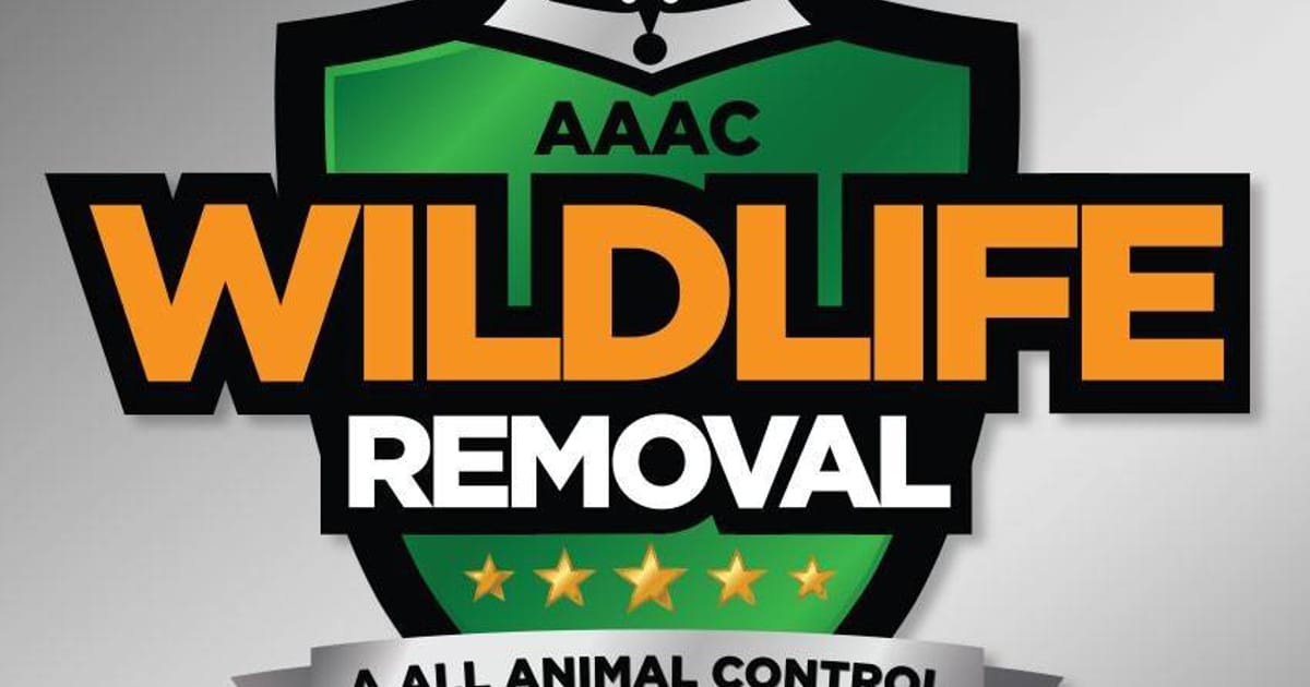 AAAC Wildlife Removal of Phoenix - Scottsdale, Arizona, AAAC Wildlife ...