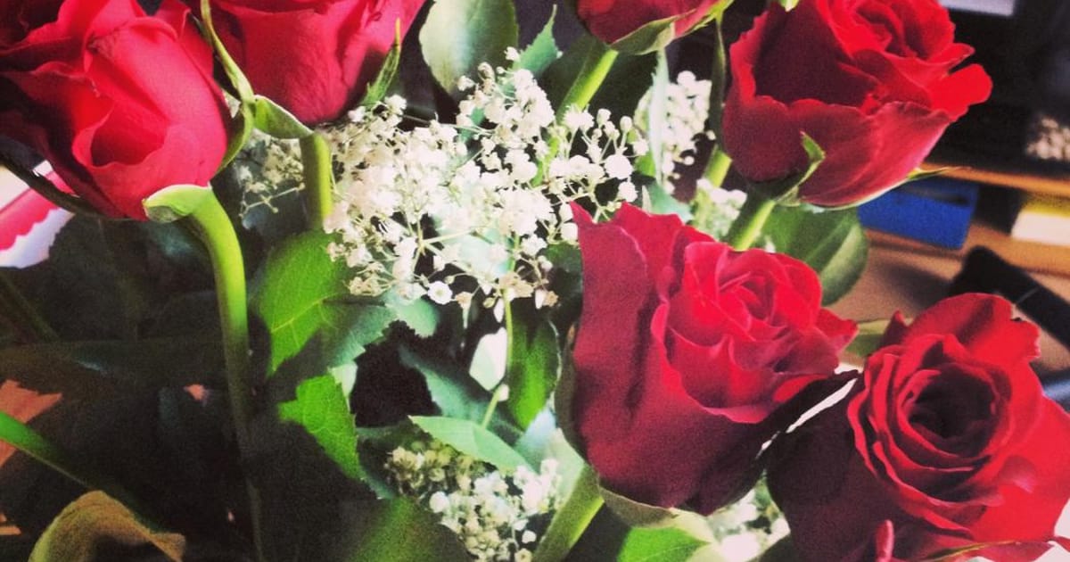 Abbie Weeks - Risca, Full time student at Newport University studying ...