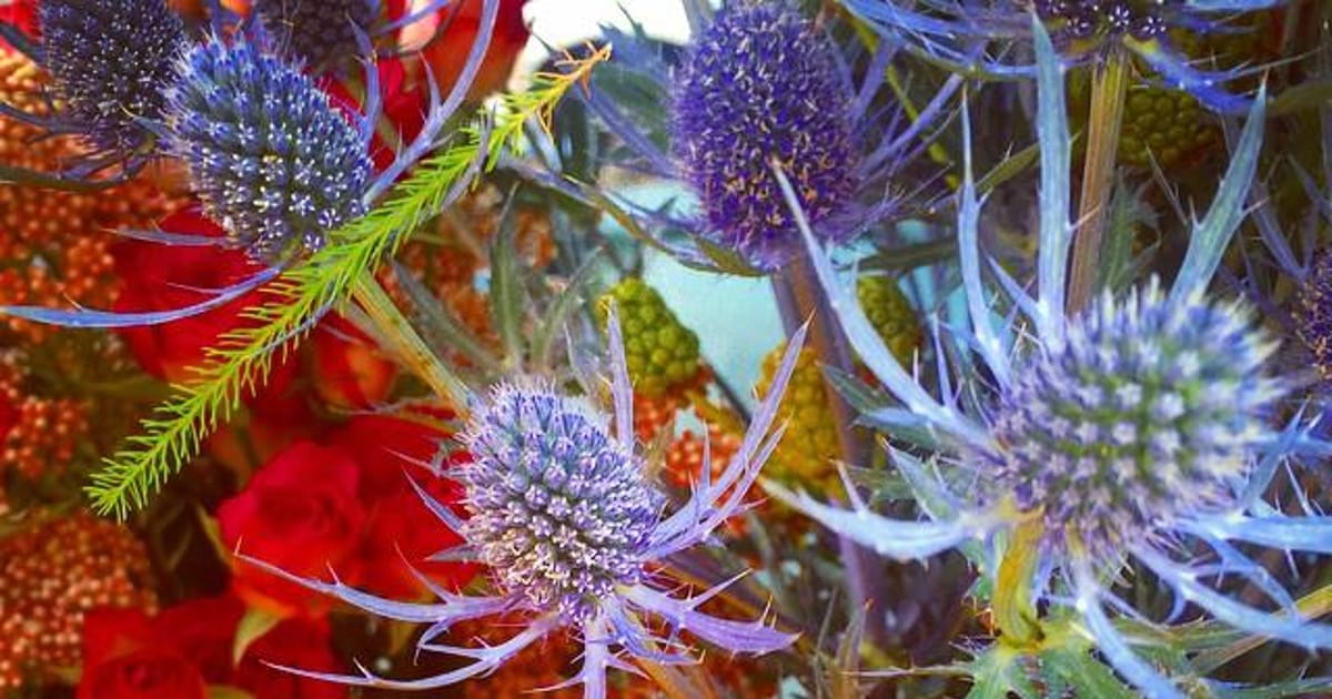 Abby Lavin - Los Angeles, California, United States, RAPP, Columbia ...