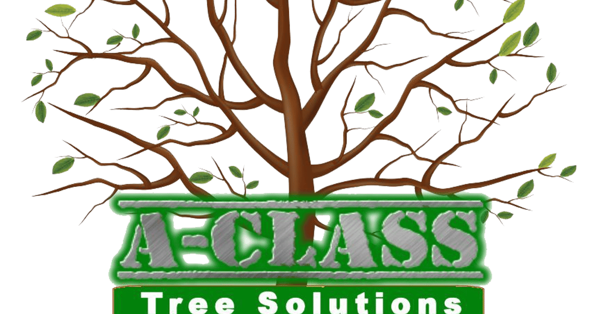A Class Tree Solution - Central coast | about.me