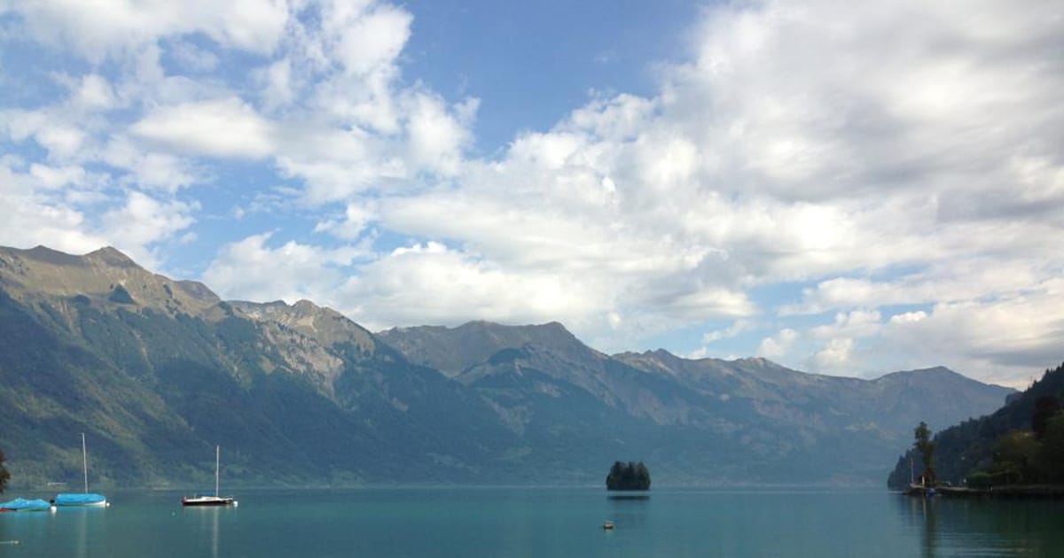 Adam Brophy - Toronto, Ontario, Canada., Venture Accelerator Partners ...